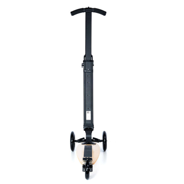 RollJet City - RollJet scooter with bag