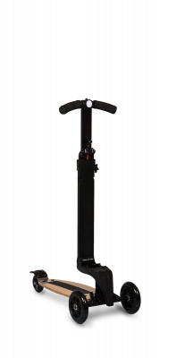 The lightest bag is RollJet - RollJet scooter with bag